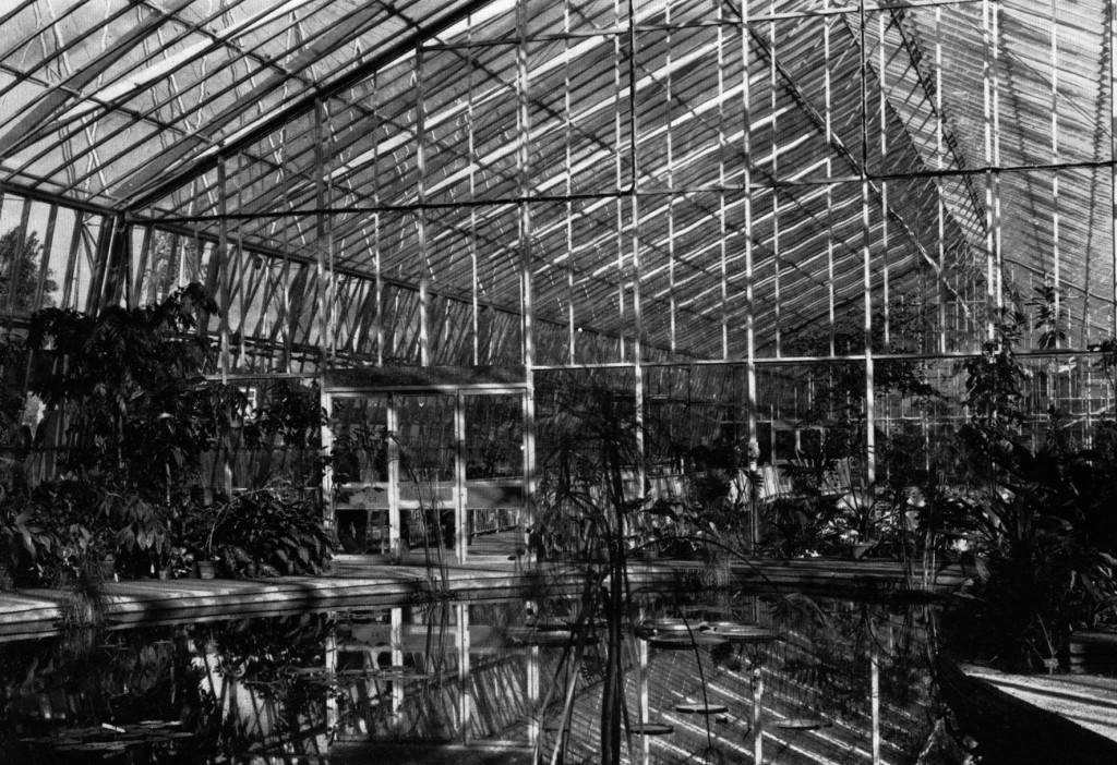 40 Years Ago: New plant houses have been built ‘inside out ...